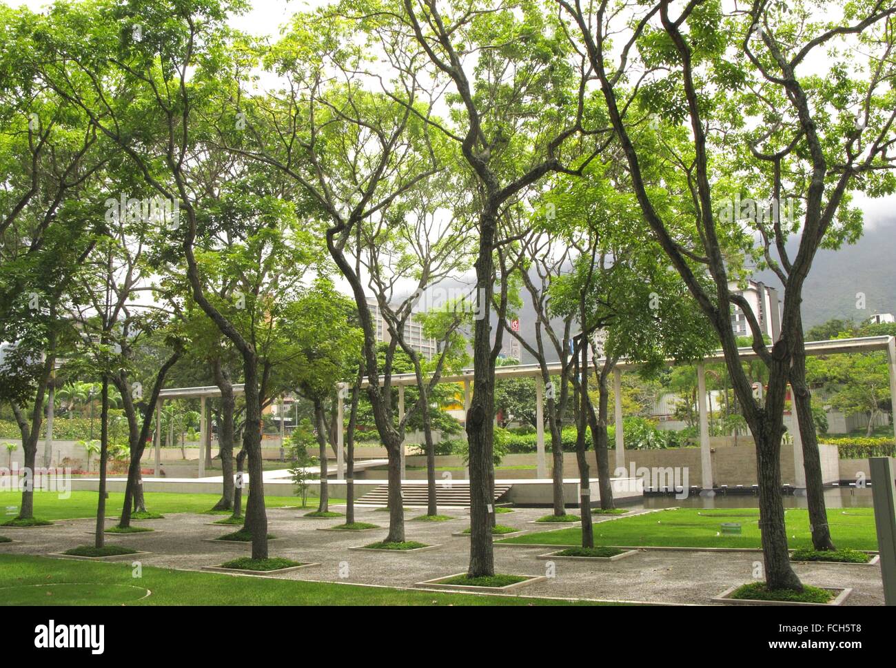 Botanical garden caracas hi-res stock photography and images - Alamy