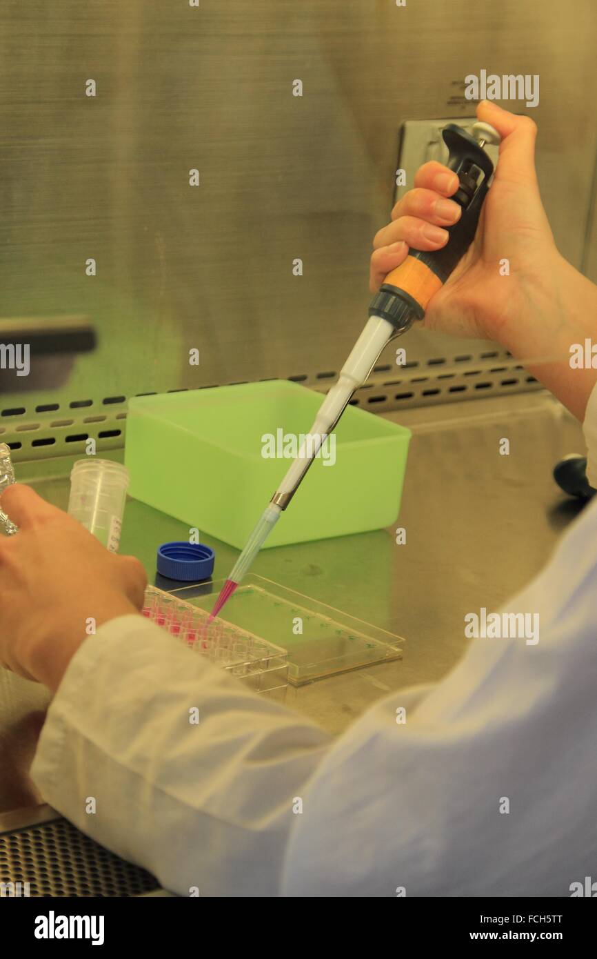 Cell Culture Stock Photos & Cell Culture Stock Images - Alamy