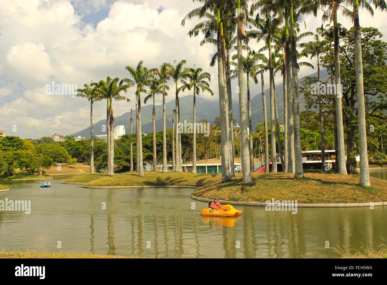 Parque del este, caracas, venezuela hi-res stock photography and images ...