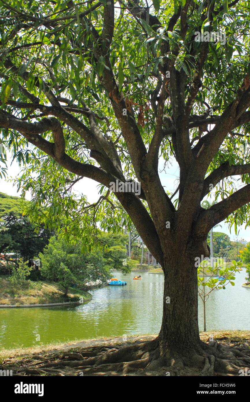 Portal este hi-res stock photography and images - Alamy