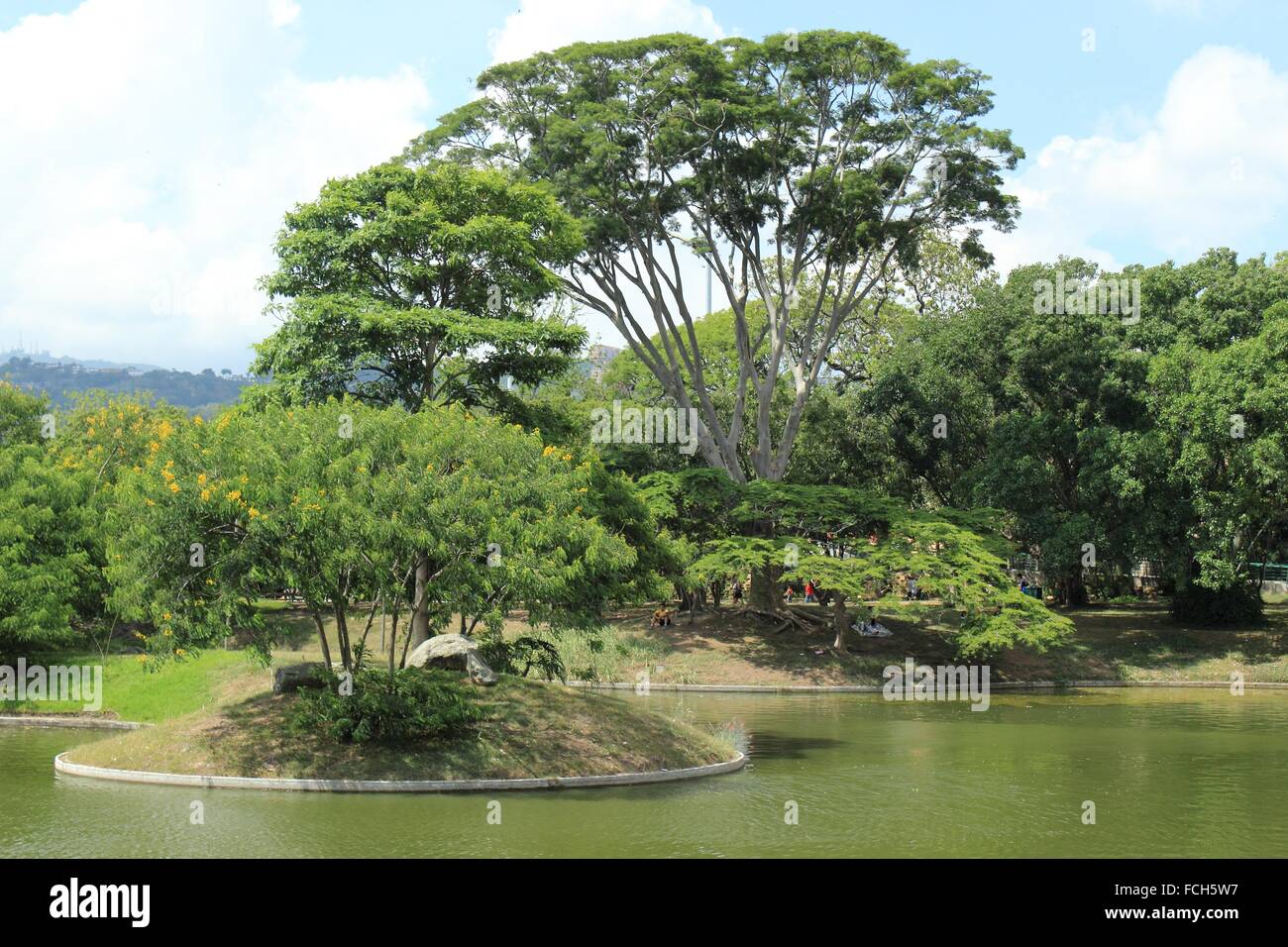 Parque del este, caracas, venezuela hi-res stock photography and images ...