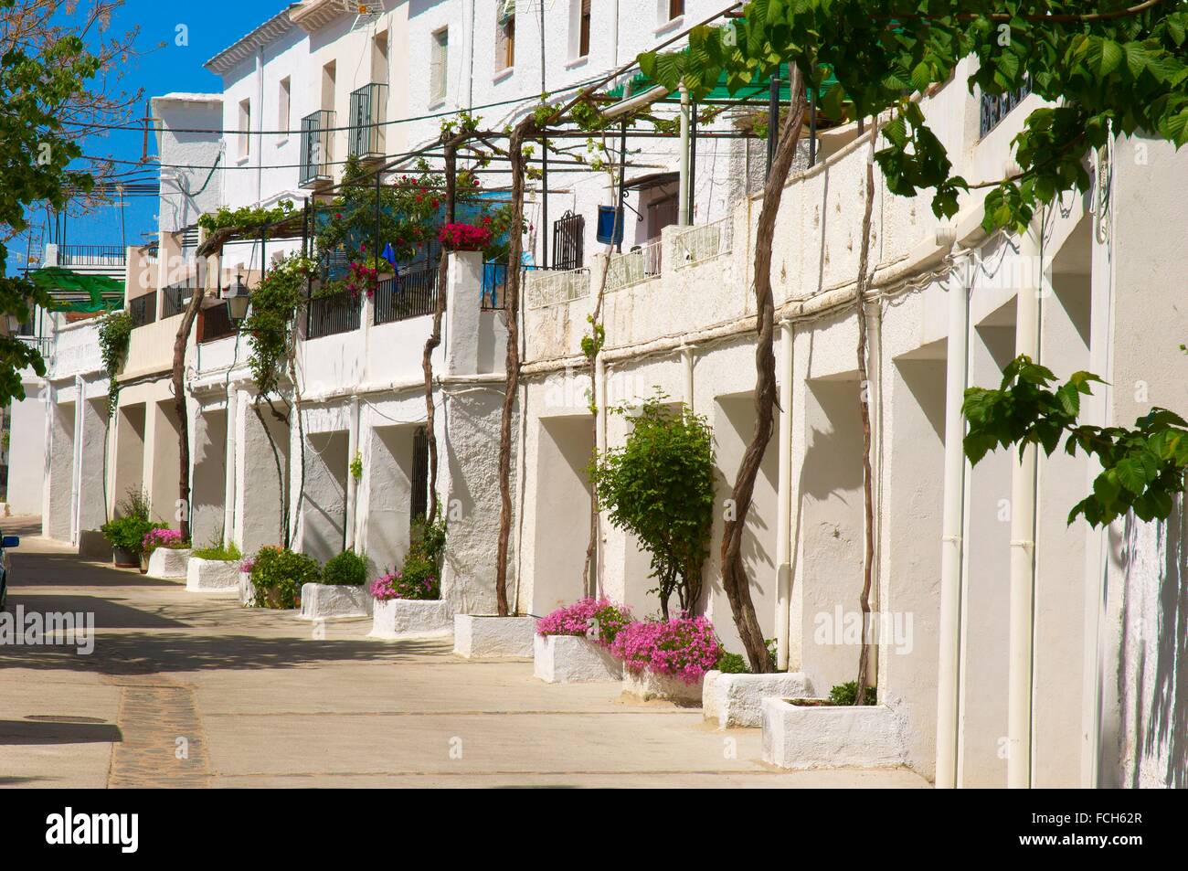 Pitres hi-res stock photography and images - Alamy