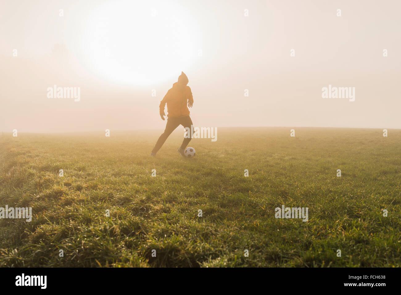 Young man playing soccer on meadow in the evening Stock Photo - Alamy