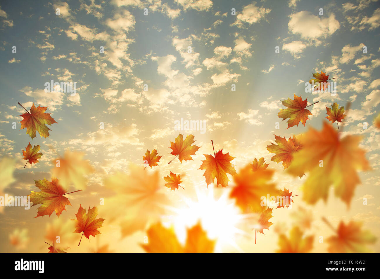 Background conceptual image with autumn falling leaves Stock Photo - Alamy