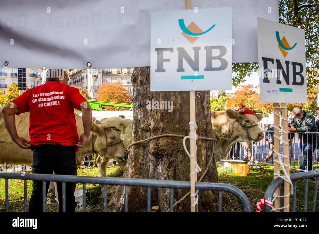 PROTEST DEMONSTRATIONS BY FARMERS IN PARIS Stock Photo - Alamy