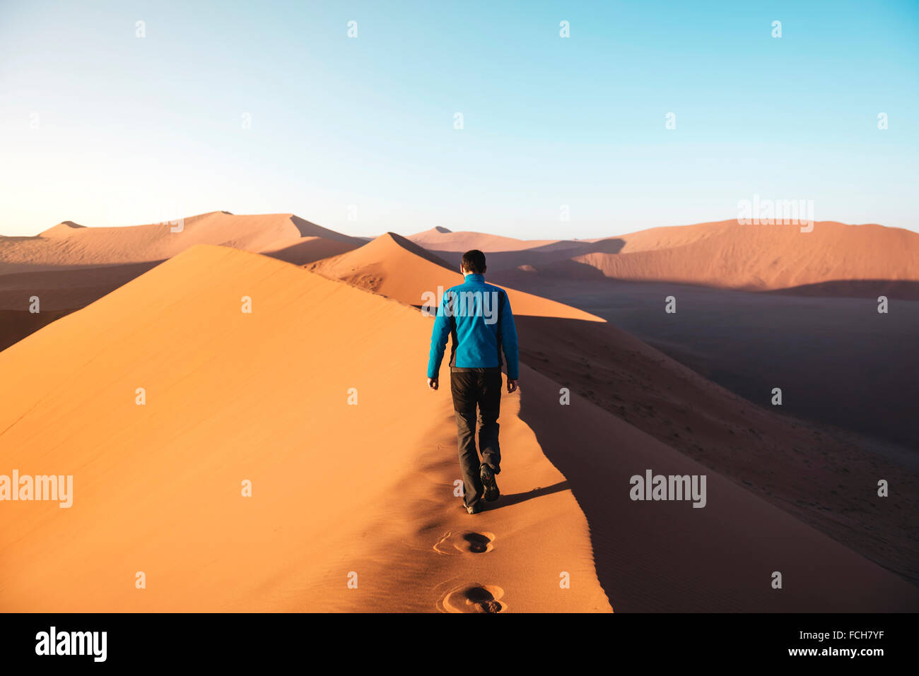 Namibia Namib Desert Sossusvlei Man walking on the top of the famous ...