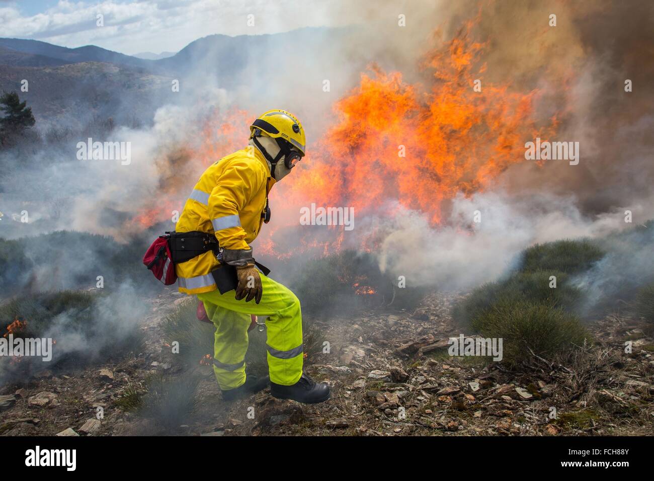 TACTICAL FIRE, FIREFIGHTERS Stock Photo - Alamy