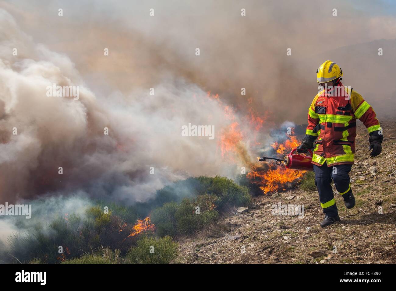 TACTICAL FIRE, FIREFIGHTERS Stock Photo - Alamy