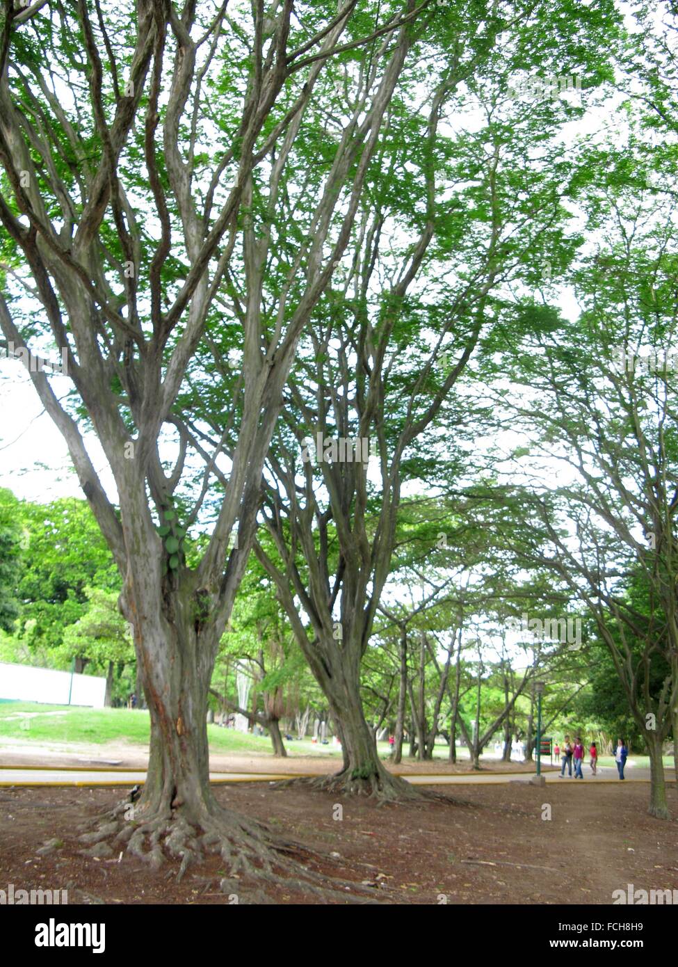 Portal este hi-res stock photography and images - Alamy