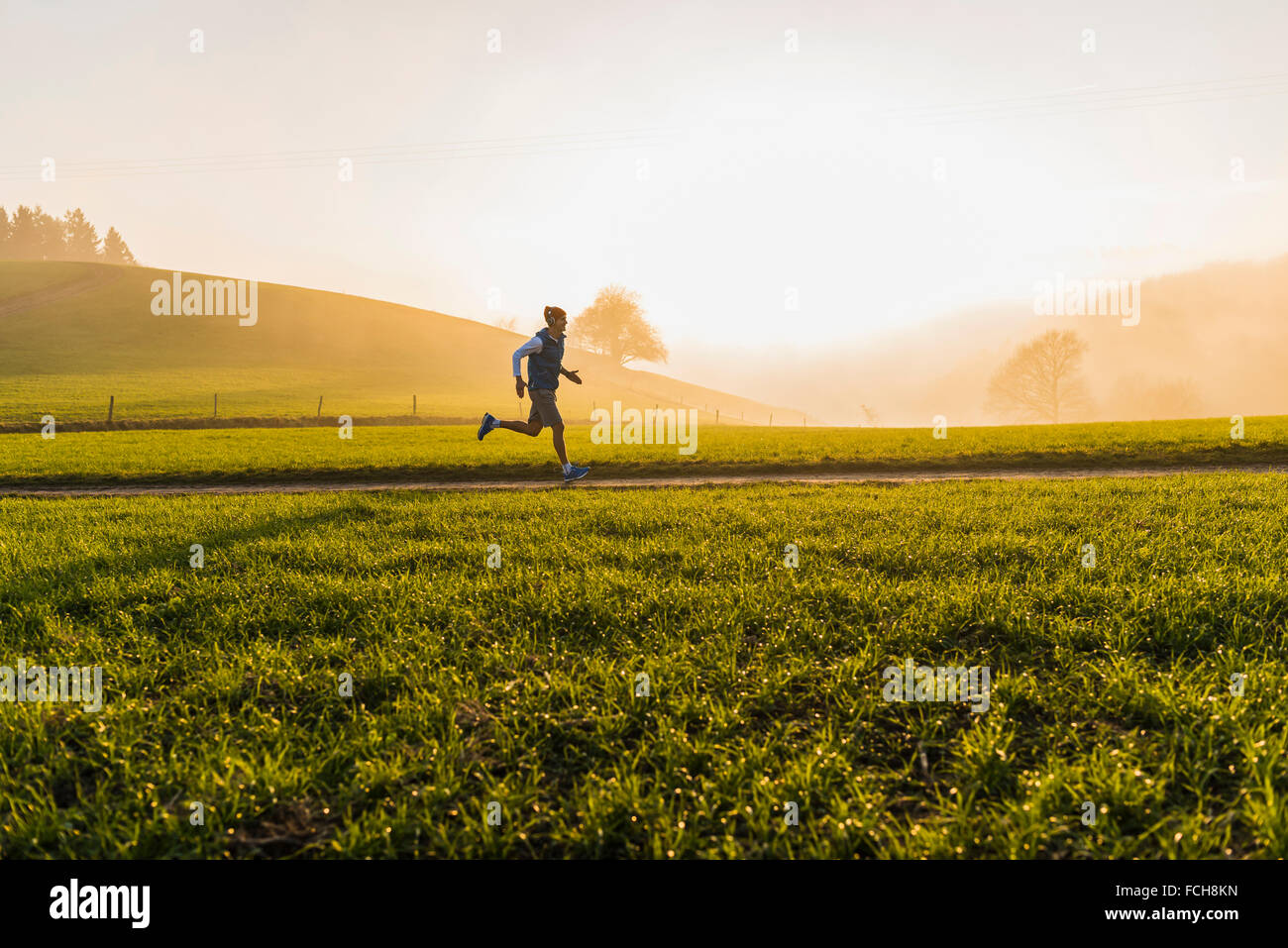 Young man jogging in the morning Stock Photo - Alamy