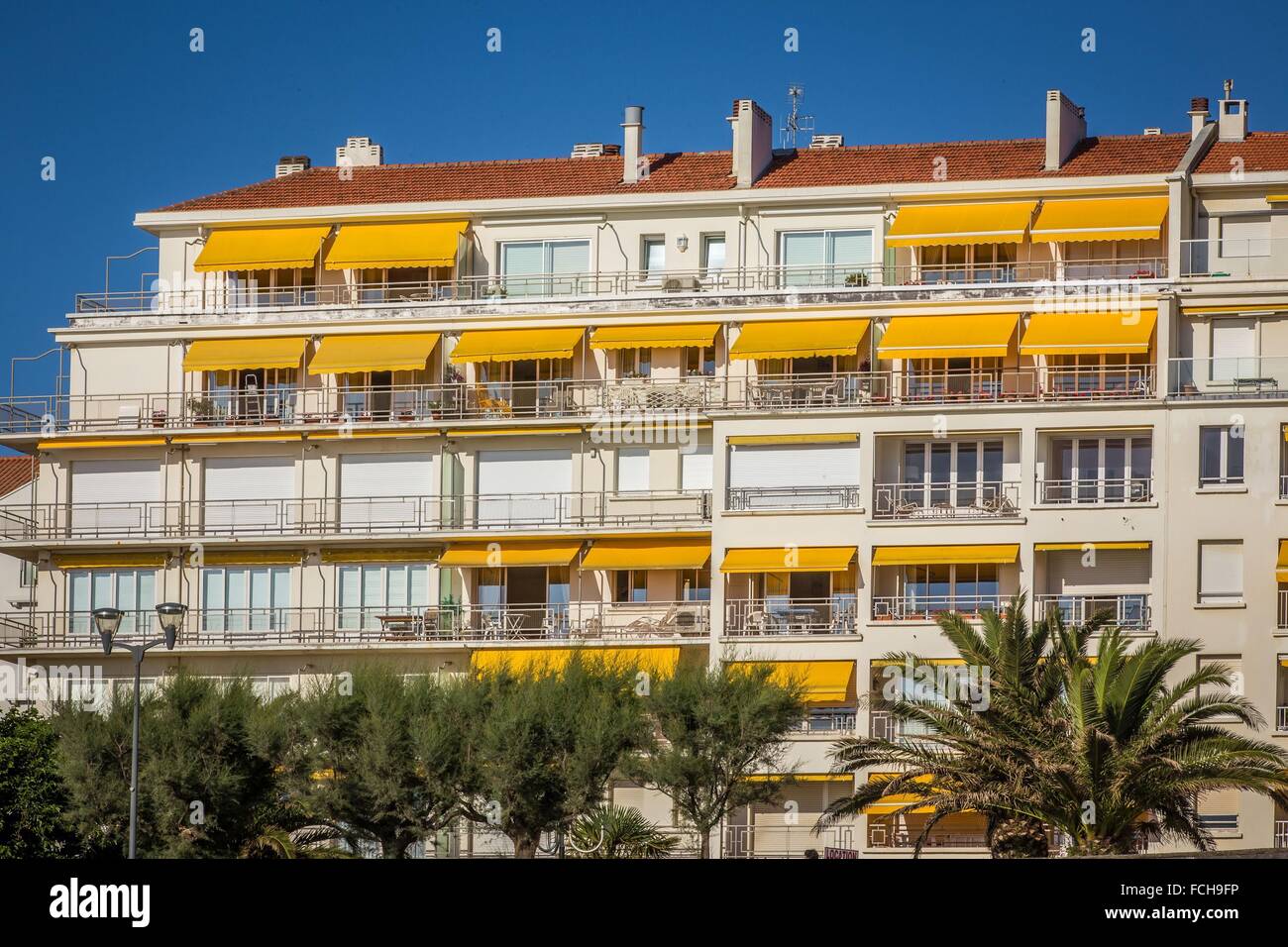 ILLUSTRATION BASQUE COUNTRY, (64) PYRENEES-ATLANTIQUES, AQUITAINE ...