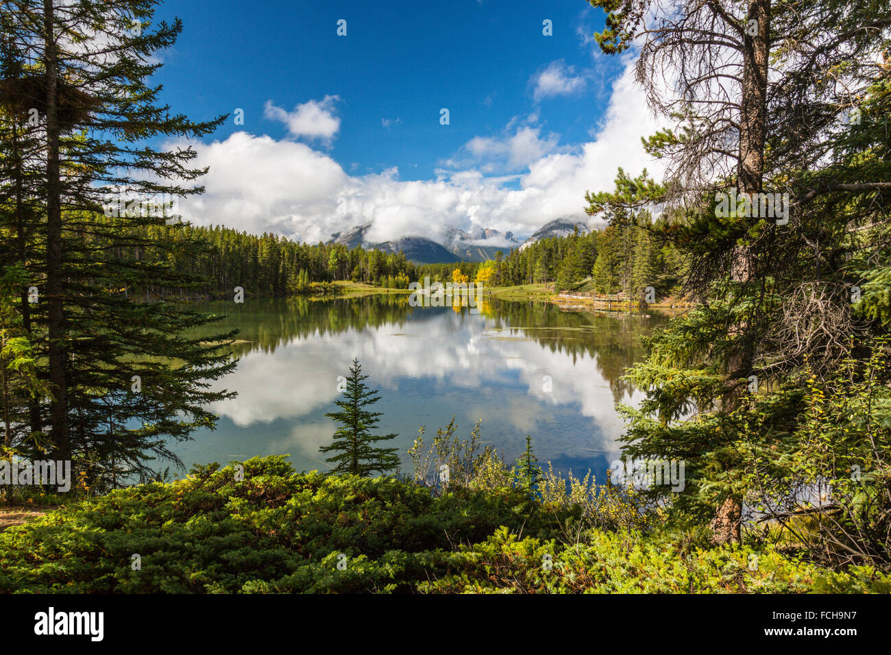 Johnson Lake, Banff Nationalpark, Alberta, Canada Stock Photo - Alamy