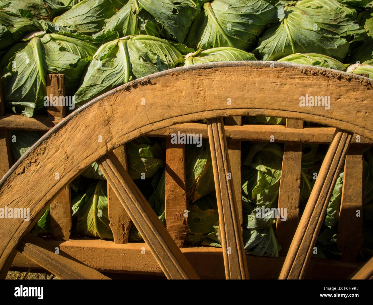 Wooden ox cart hi-res stock photography and images - Alamy