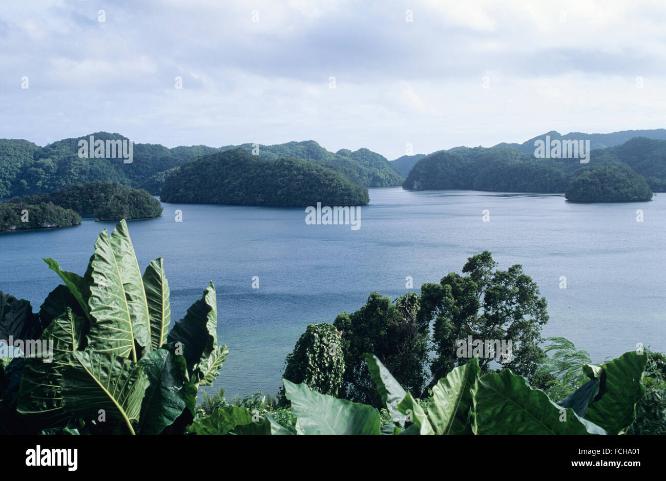 Ocean and island views of Palau Islands Stock Photo - Alamy