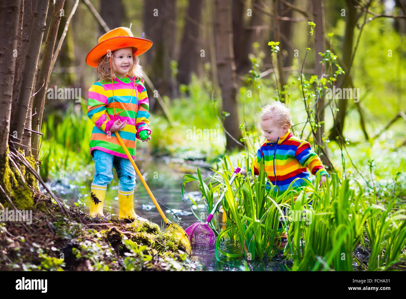 Children playing outdoors. Preschool kids catching frog with net. Boy ...