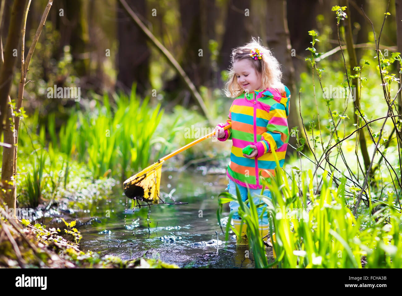 Children playing outdoors. Preschool kids catching frog with net. Boy ...