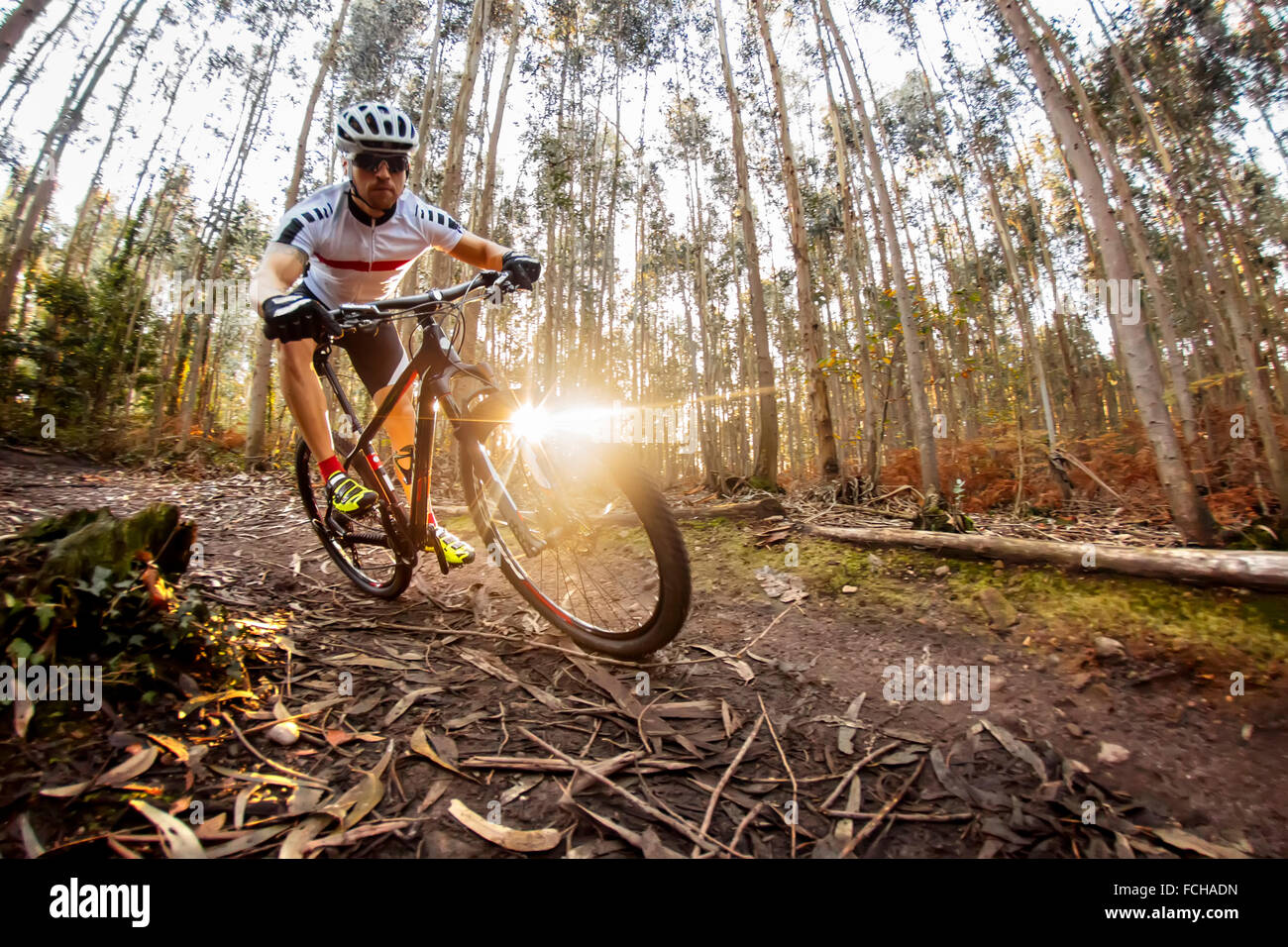 Dynamic driving image hi-res stock photography and images - Alamy