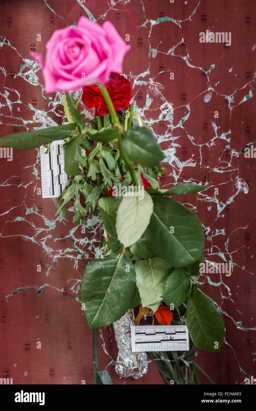 PARIS TERRORIST ATTACKS COMMITTED BY MEMBERS OF ISIS, ISLAMIC STATE ...