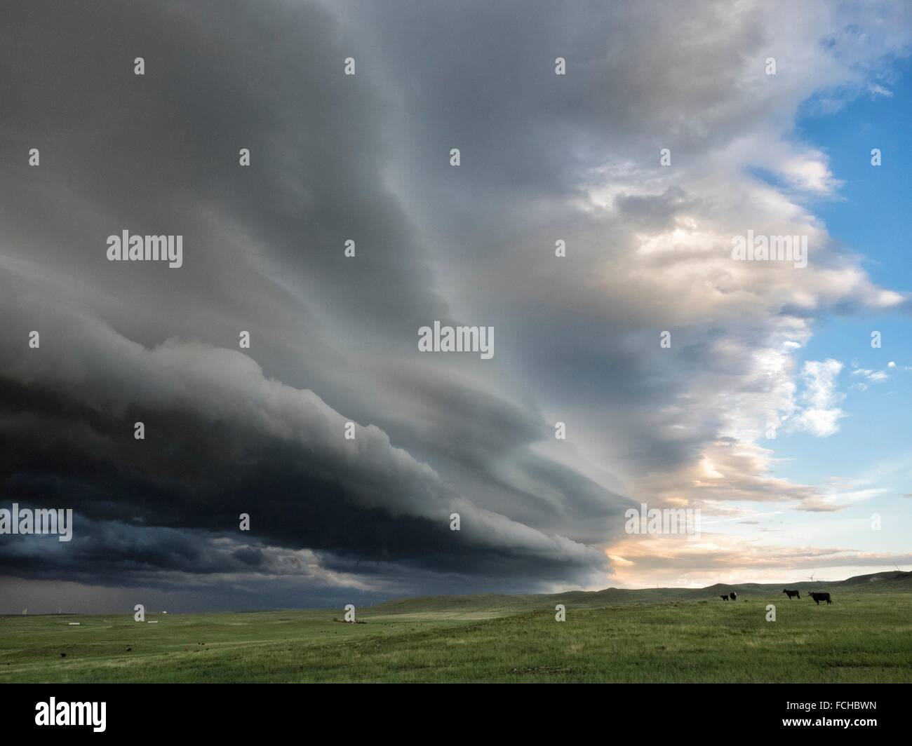 Colorado Storm Chasing Stock Photo - Alamy