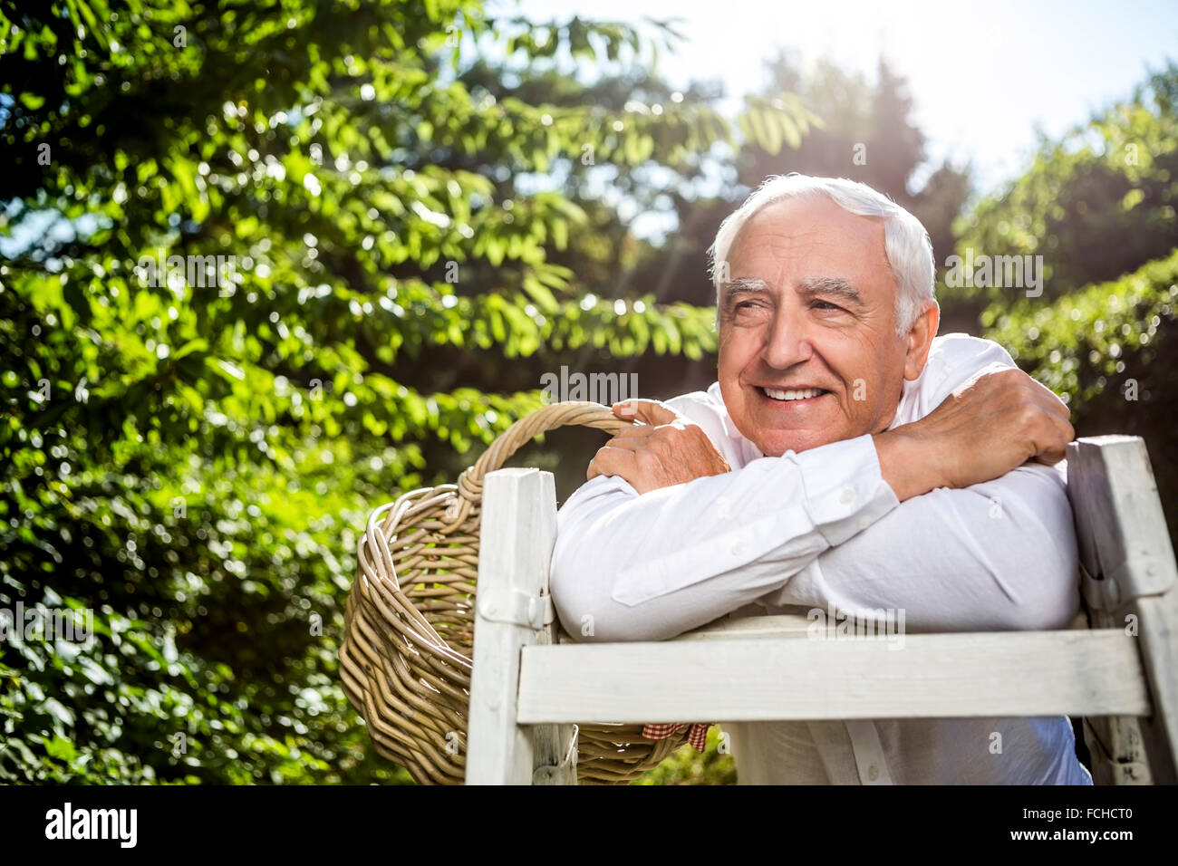 Senior man basket and ladder in garden Stock Photo - Alamy