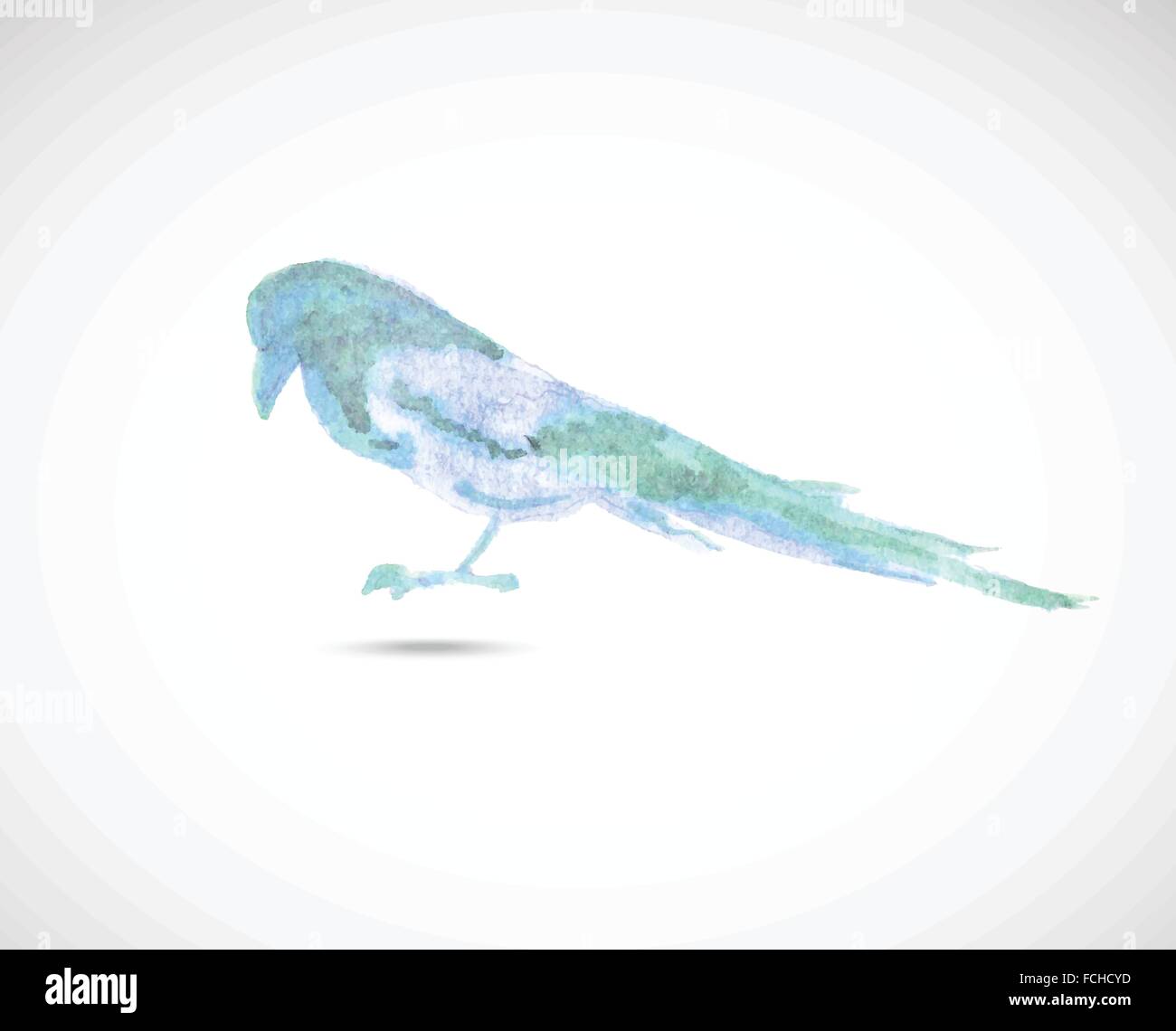 Magpie feather isolated Stock Vector Images - Alamy