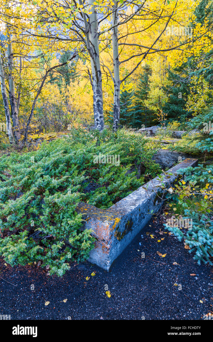 Old coal mine, historical, Lower Bankhead, Banff Nationalpark, Alberta ...