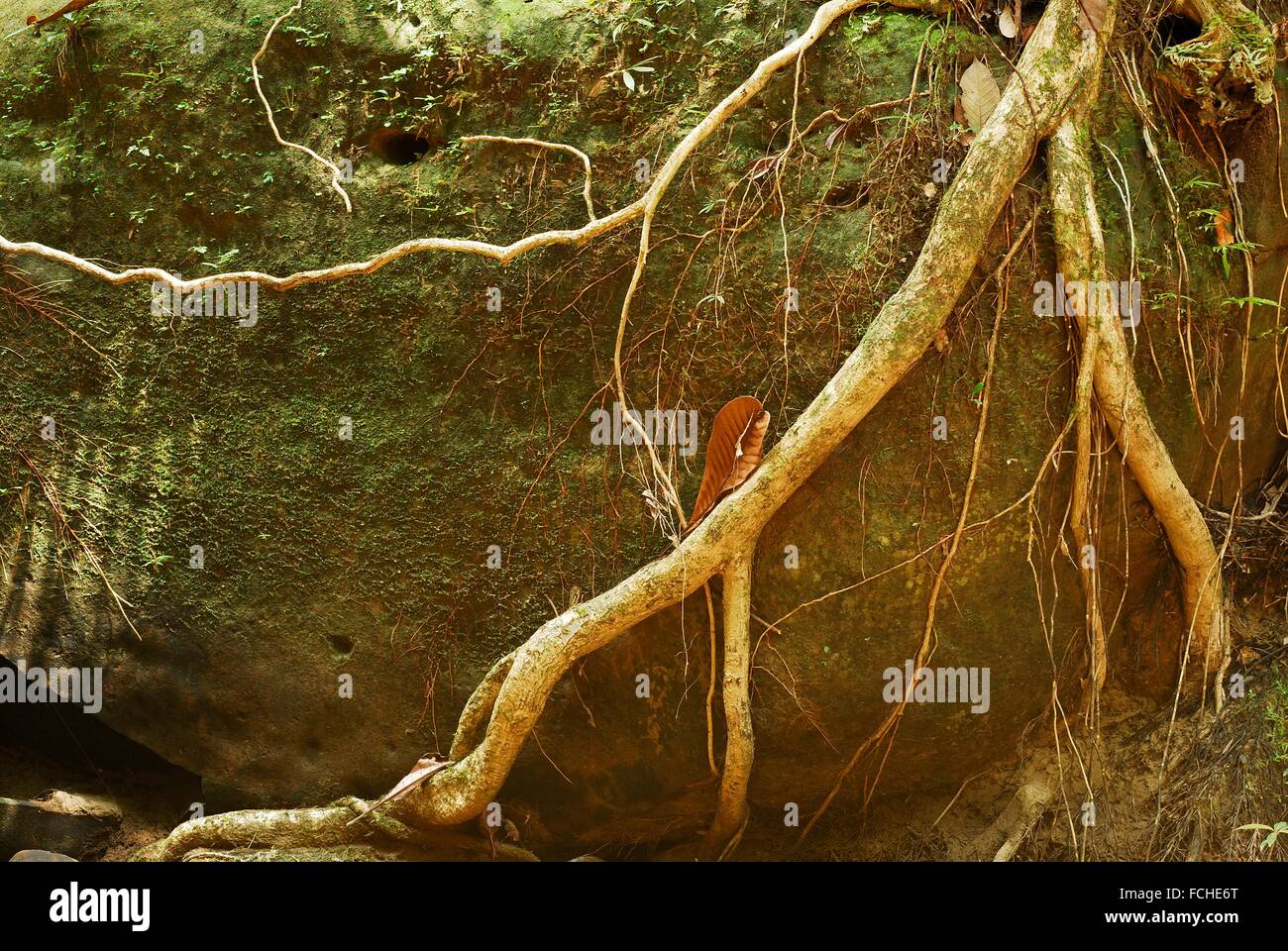 Rootes hi-res stock photography and images - Alamy