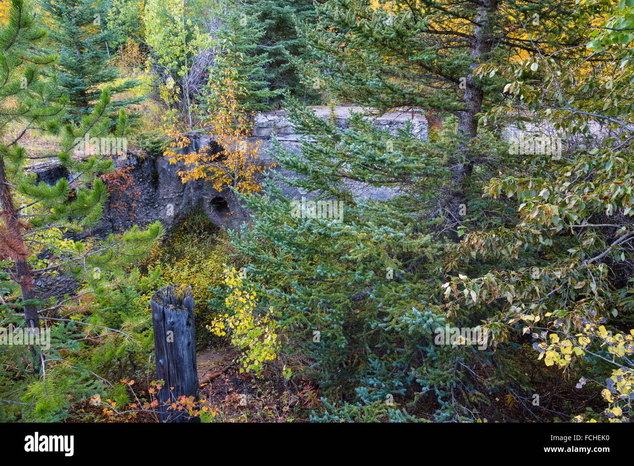 Old coal mine, historical, Lower Bankhead, Banff Nationalpark, Alberta ...