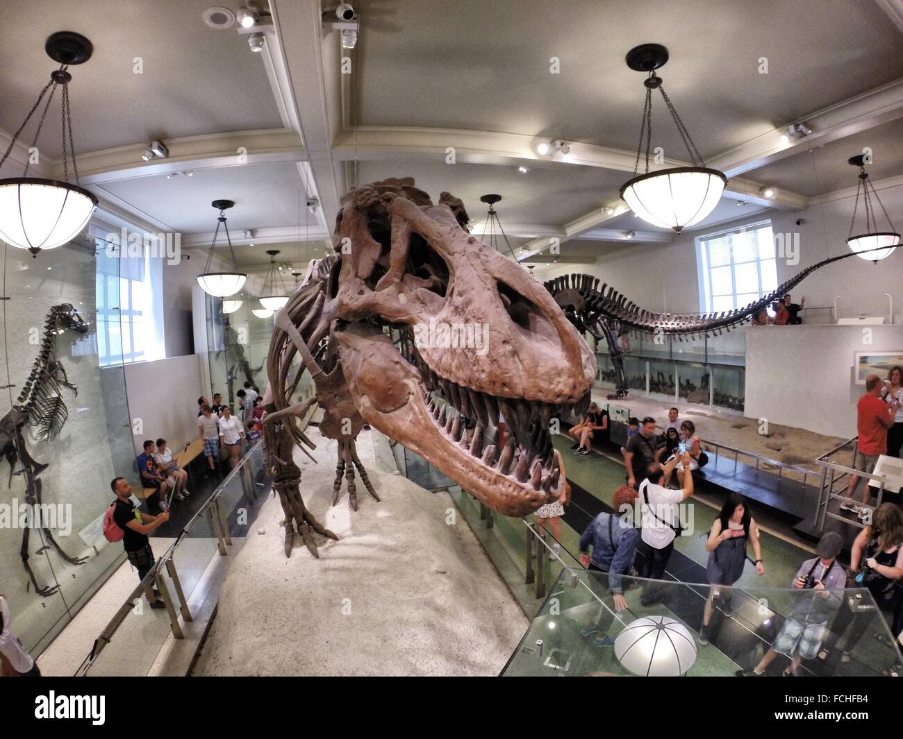 Saurischian High Resolution Stock Photography and Images - Alamy