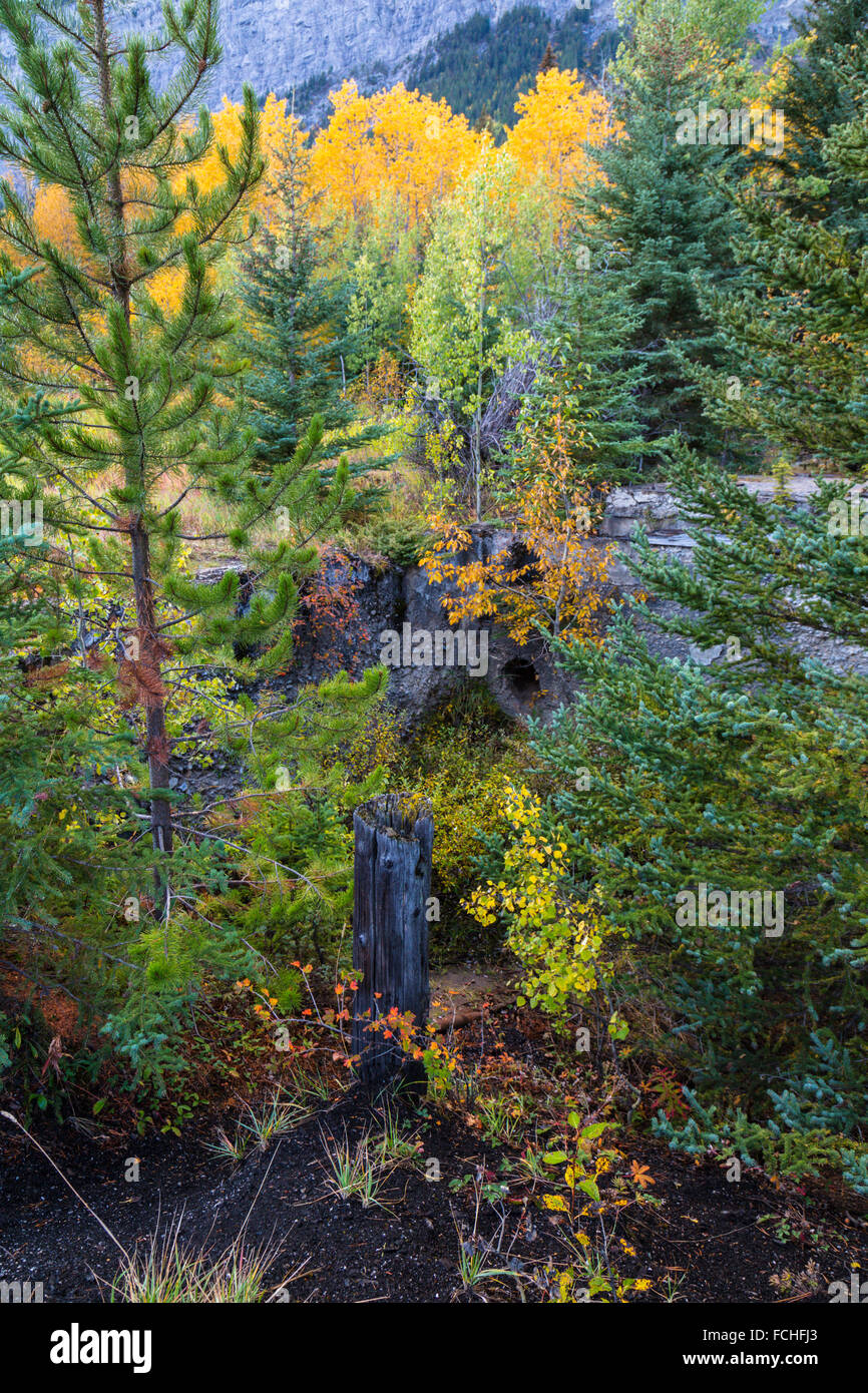 Old coal mine, historical, Lower Bankhead, Banff Nationalpark, Alberta ...
