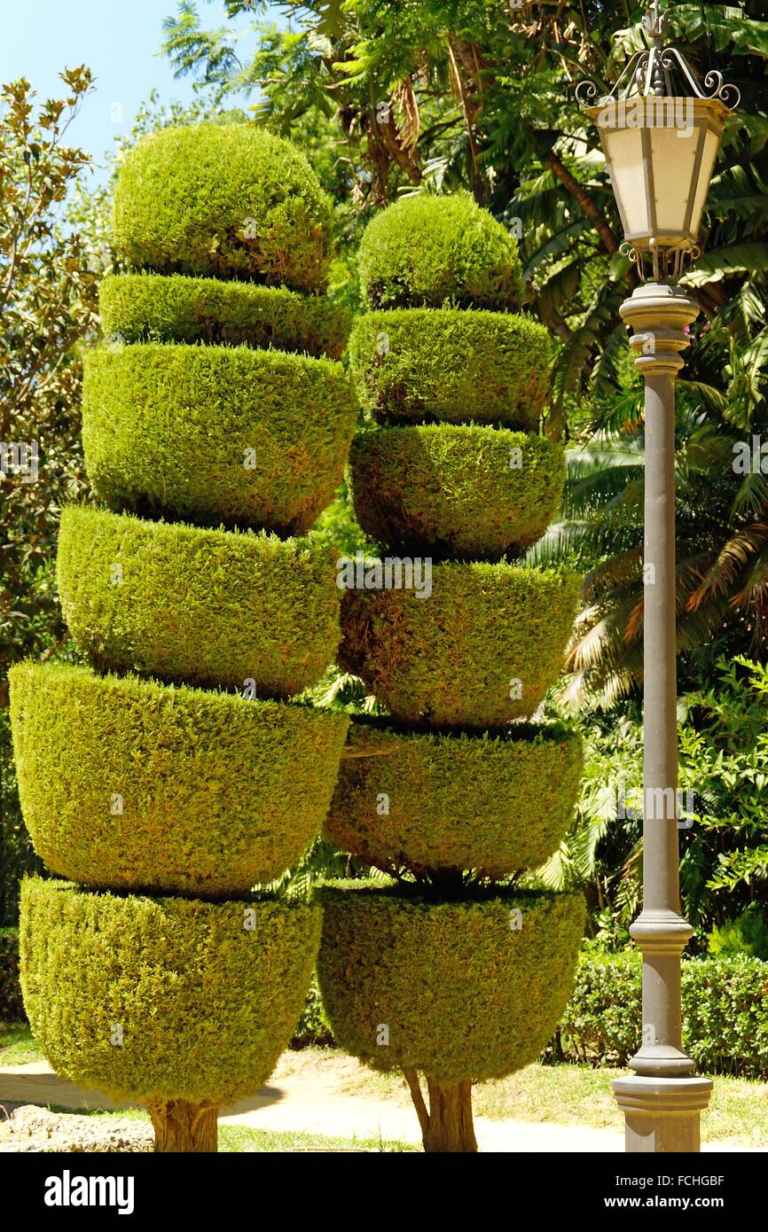 Genoves park cadiz city cadiz hi-res stock photography and images - Alamy