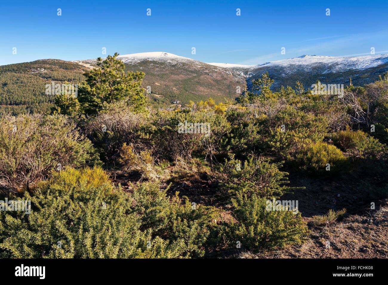 Somosierra hi-res stock photography and images - Alamy