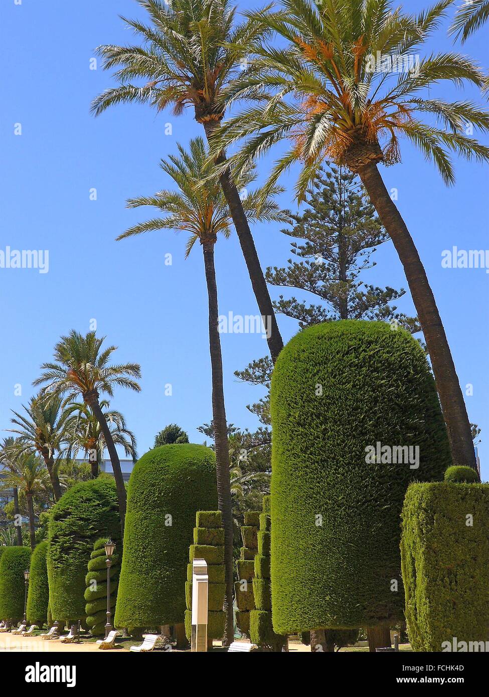 Genovés park hi-res stock photography and images - Alamy