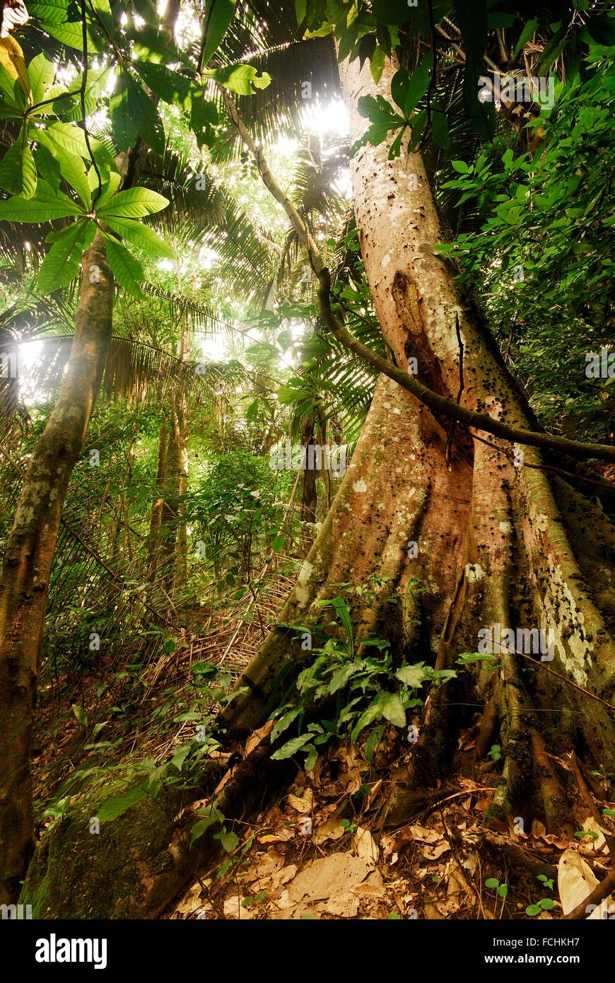 Kuala Lumpur Kepong High Resolution Stock Photography and Images - Alamy