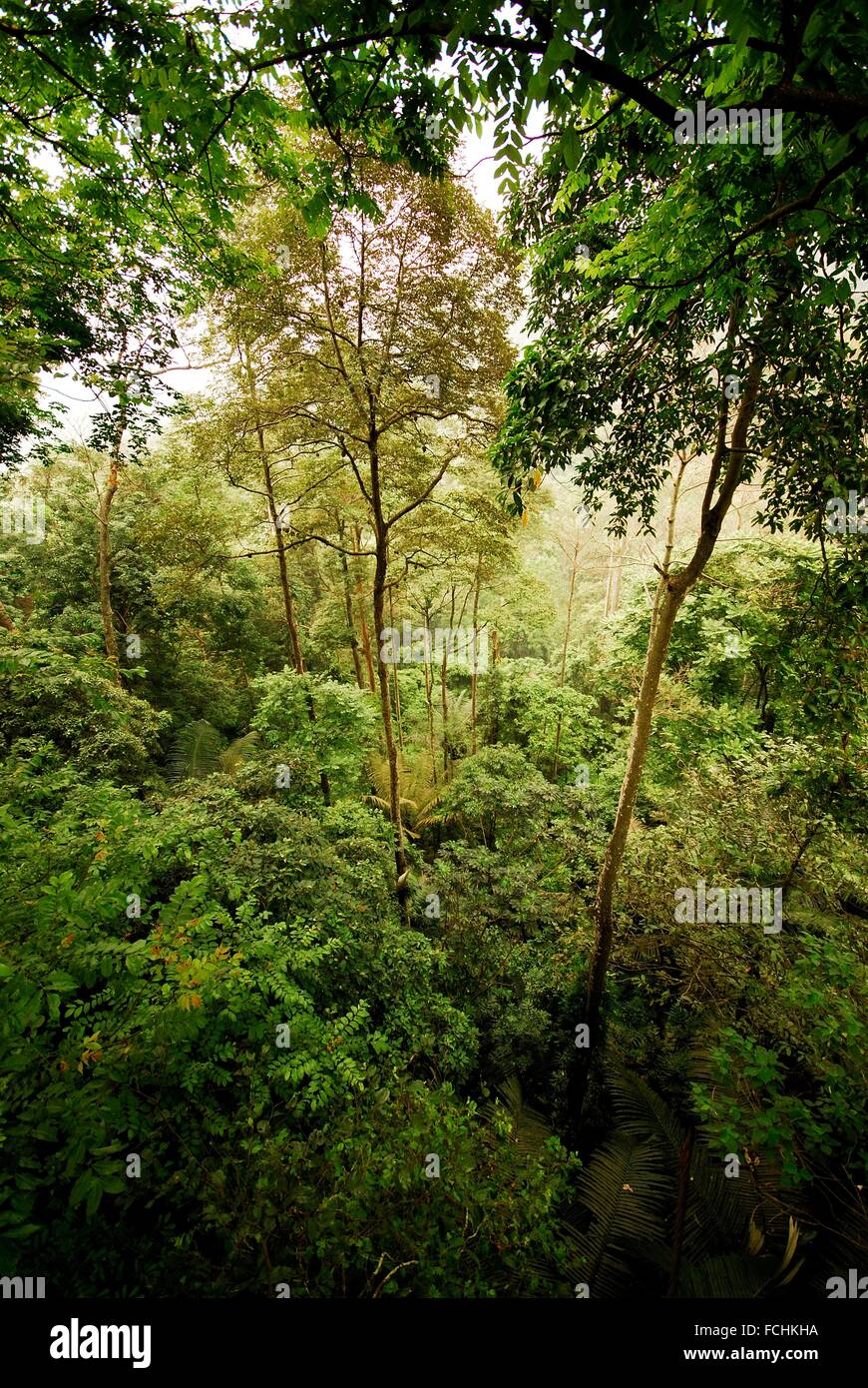 Frim hi-res stock photography and images - Alamy