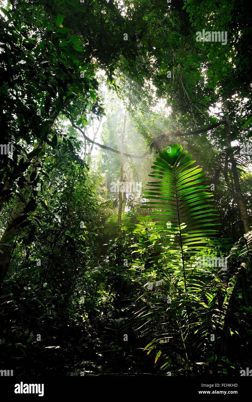 Kuala Lumpur Kepong High Resolution Stock Photography and Images - Alamy