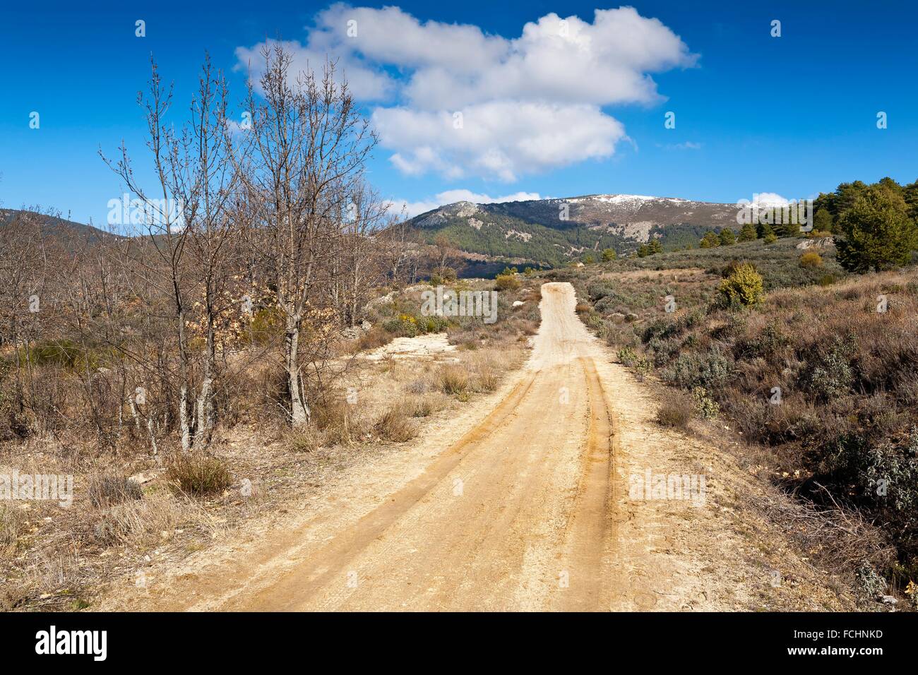 Canada real, madrid hi-res stock photography and images - Alamy