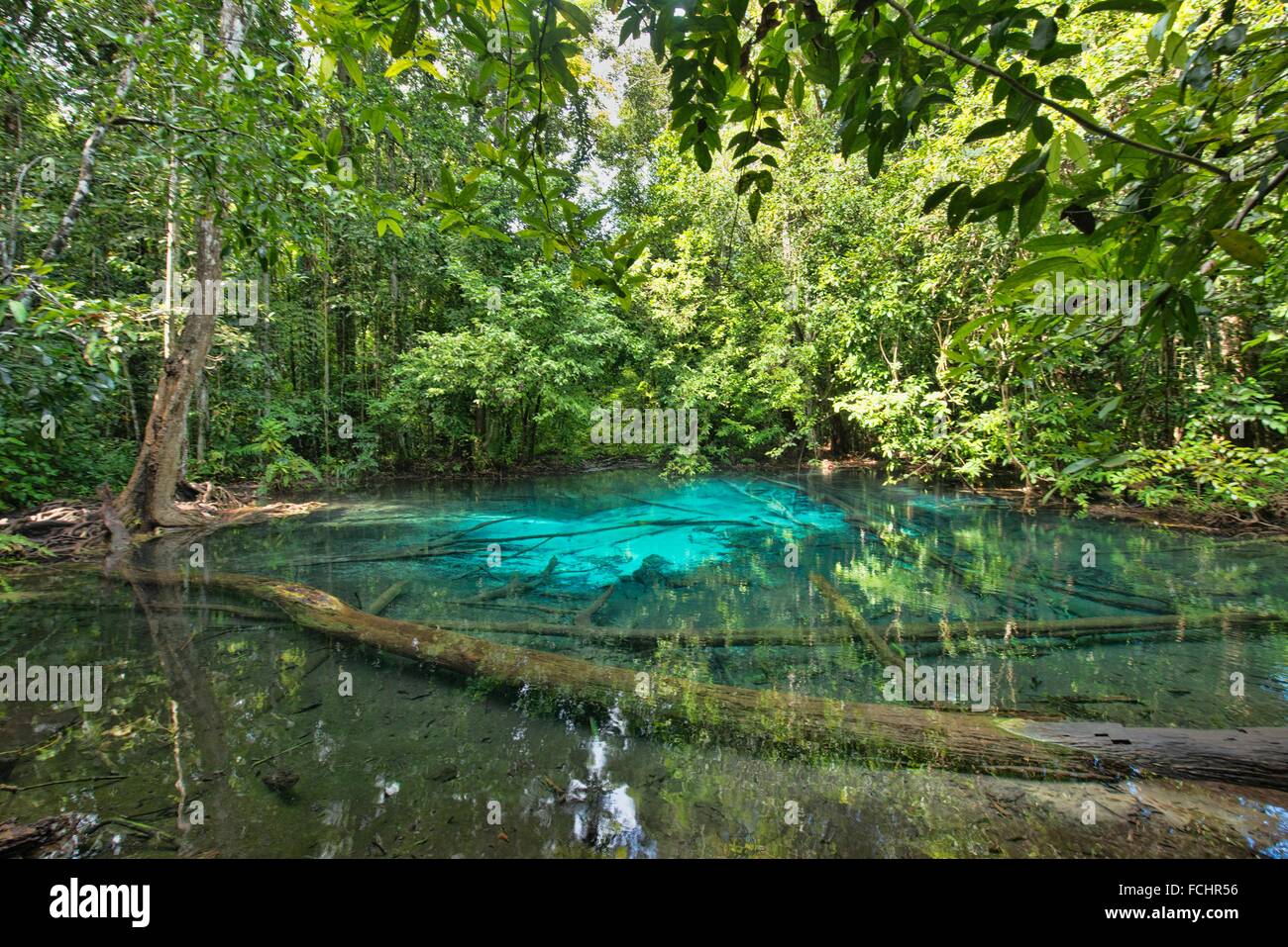 The Blue Crystal pool at the Sa Morakot Emerald Pool in Krabi, Thailand ...