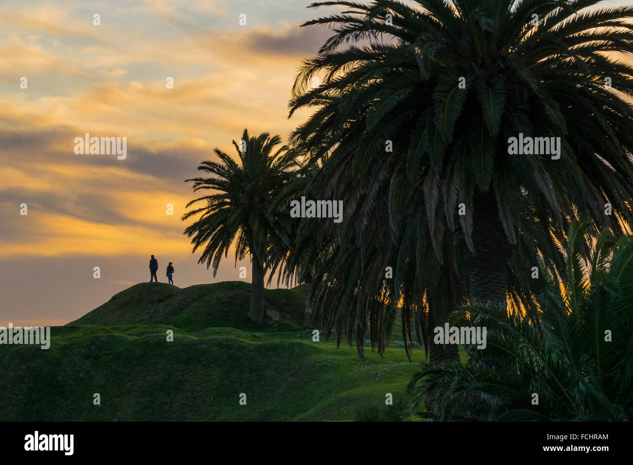 Beautiful nature sunset scene with a couple walking at park in ...