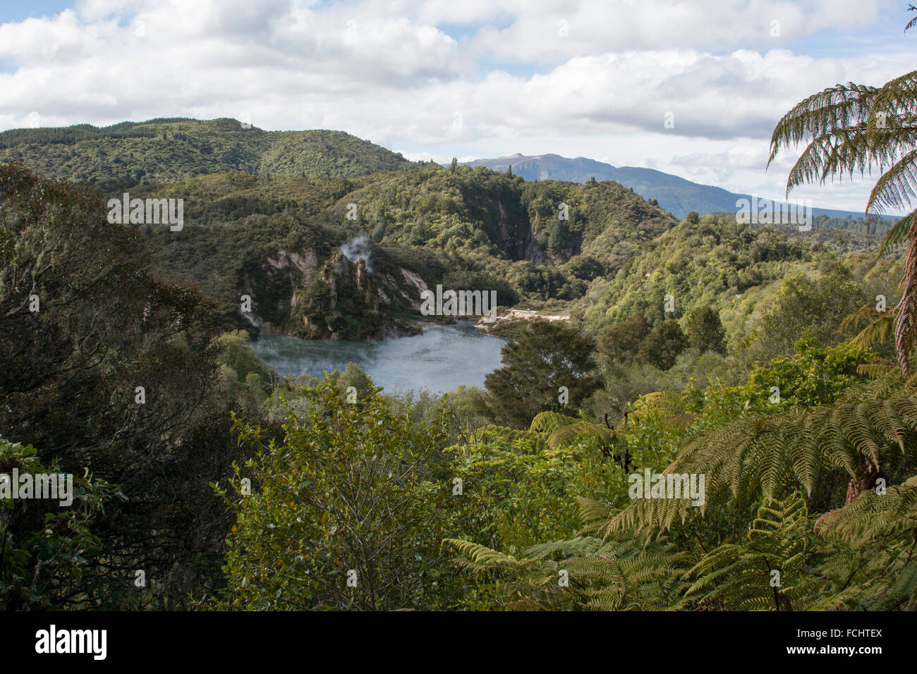 55 °C hot Frying Pan Lake in the Waimangu Volcanic Rift Valley in New ...