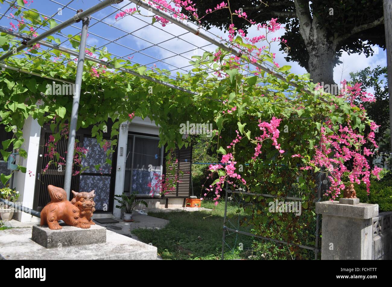 Traditional ryukyuan shisa hi-res stock photography and images - Alamy