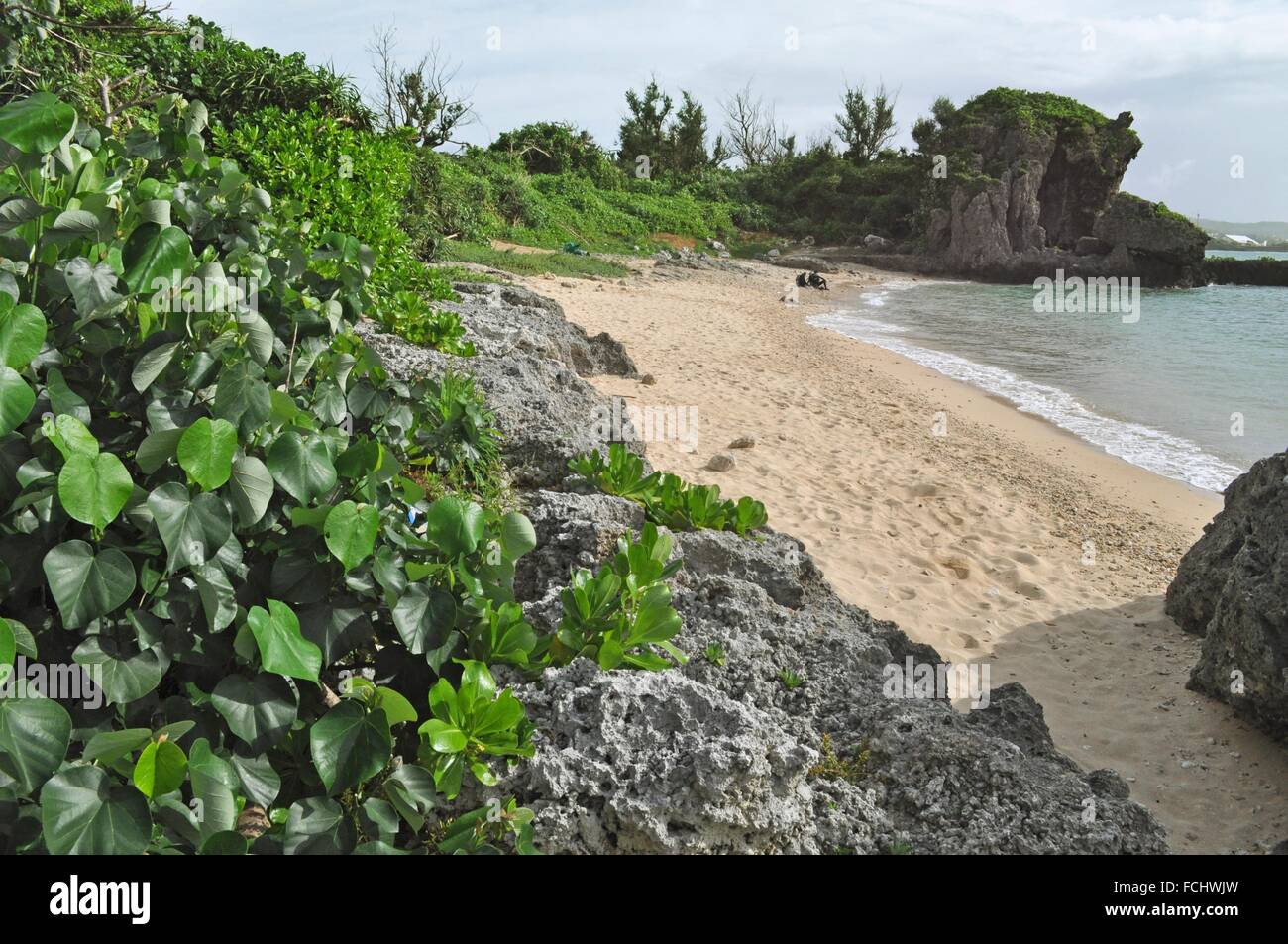 Cape Maeda, Okinawa, Japan Stock Photo - Alamy