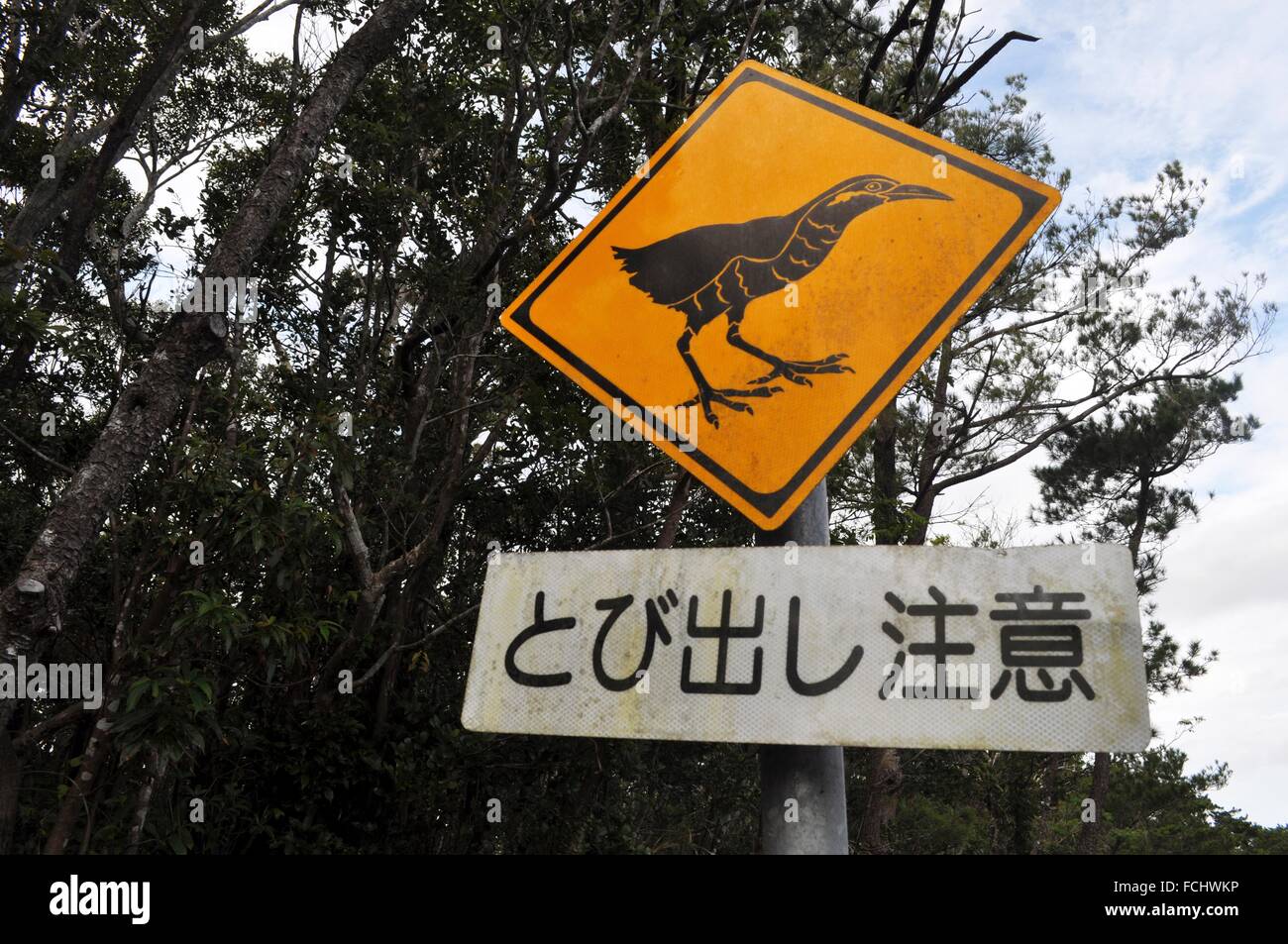 Okinawa rail hi-res stock photography and images - Alamy