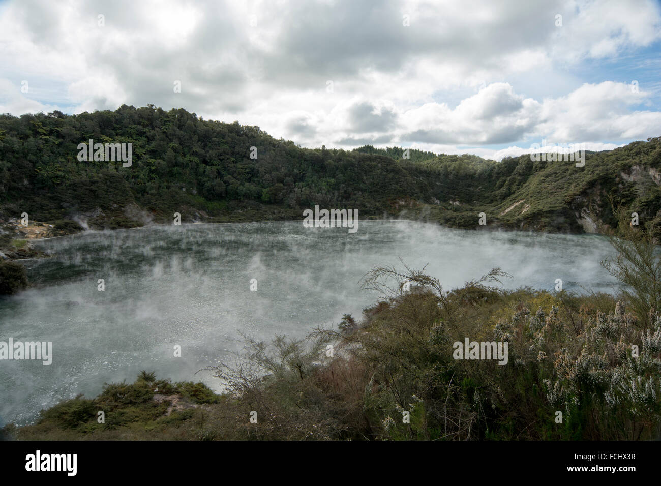 55 °C hot Frying Pan Lake in the Waimangu Volcanic Rift Valley in New ...