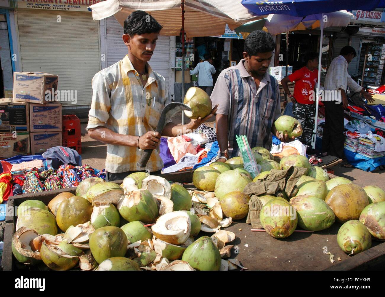 Selling Coconut Fruit Market India High Resolution Stock Photography ...