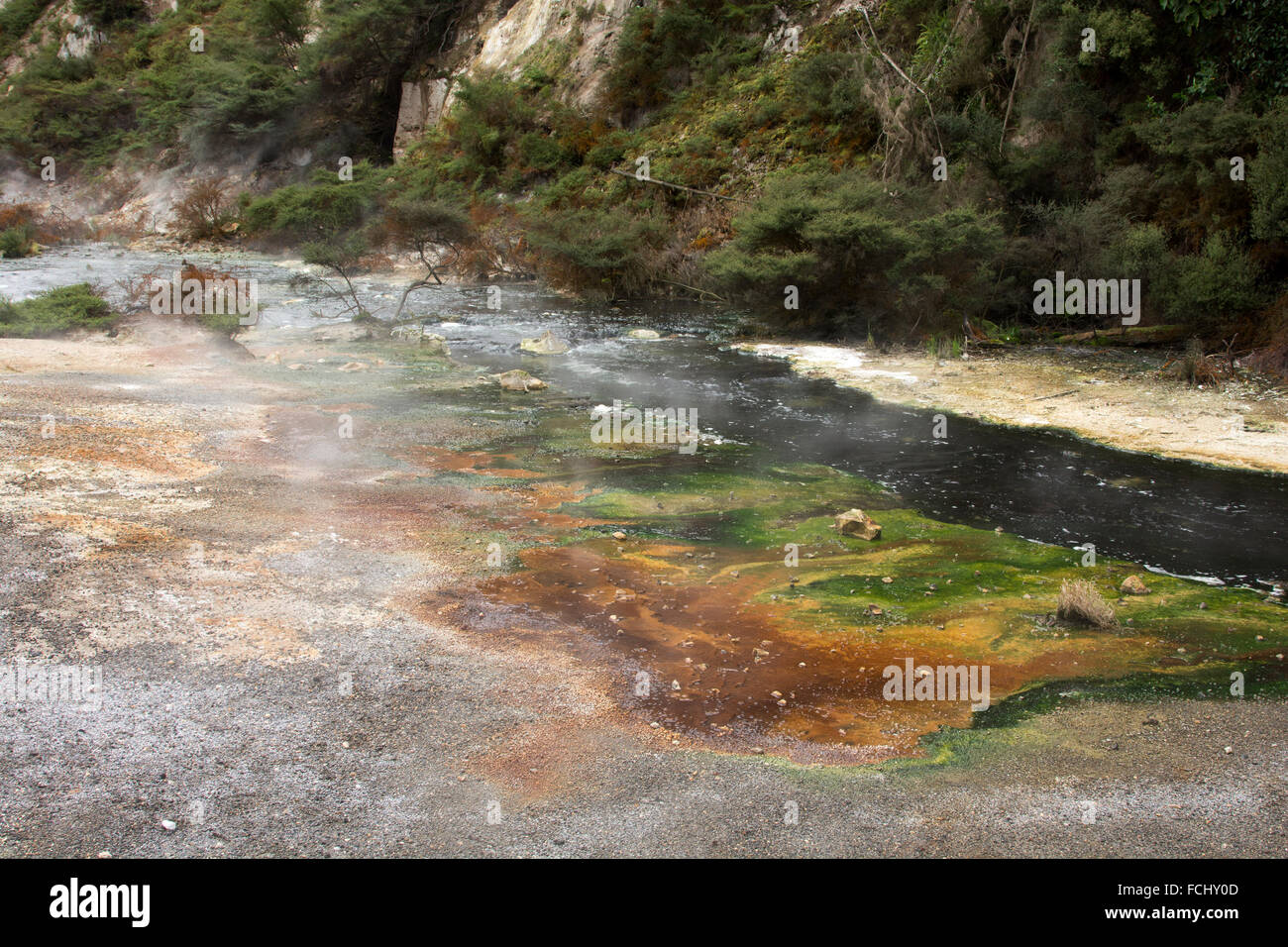 The hot overflow from the 55 °Celsius hot Frying Pan Lake in Waimangu ...