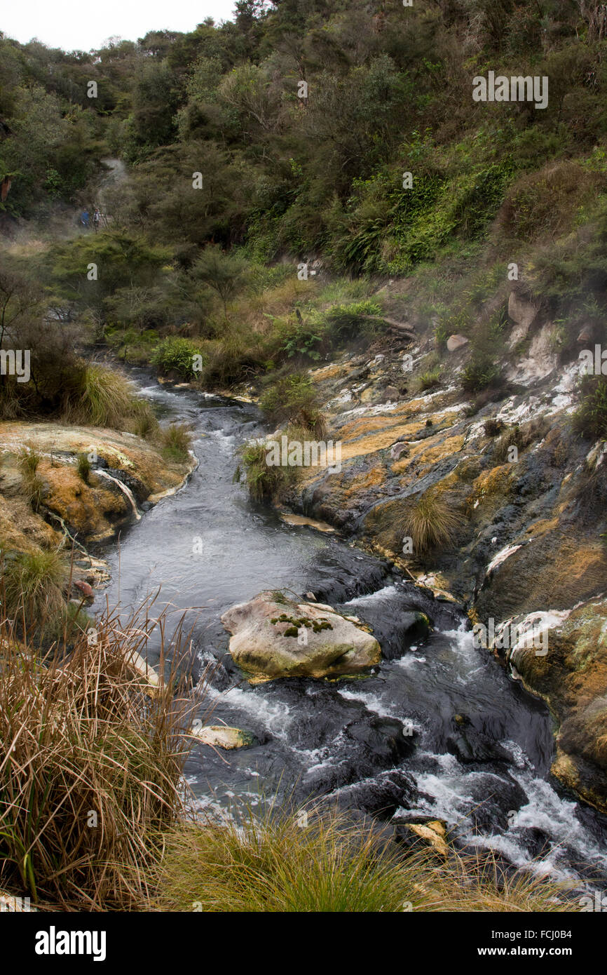 The hot overflow from the 55 °Celsius hot Frying Pan Lake in Waimangu ...