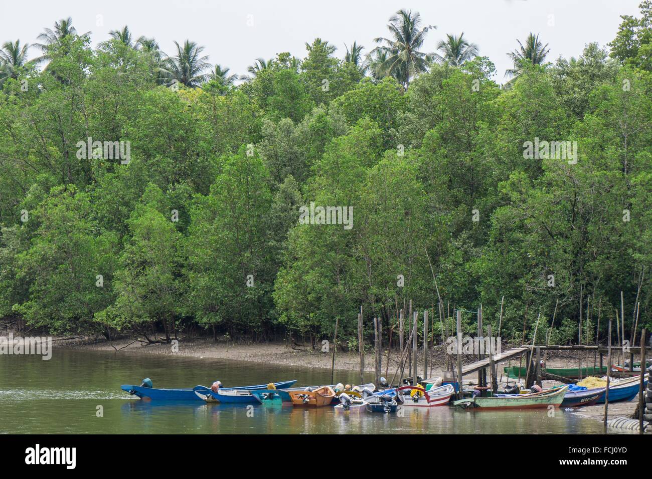 Sampadi High Resolution Stock Photography and Images - Alamy