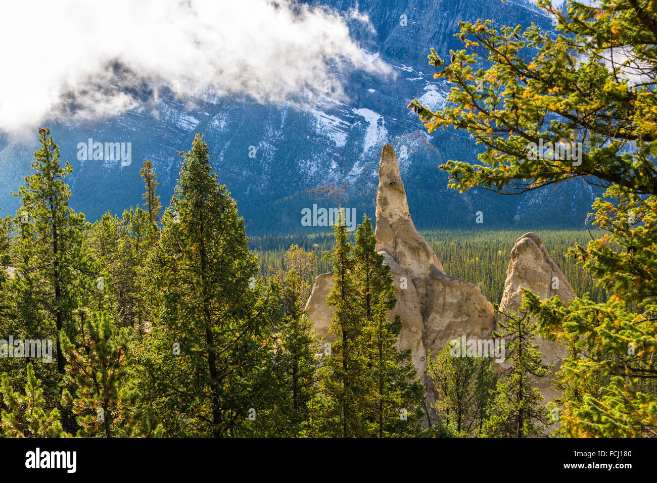 Hoodoos Viewpoint, Banff Nationalpark, Alberta, Canada Stock Photo - Alamy