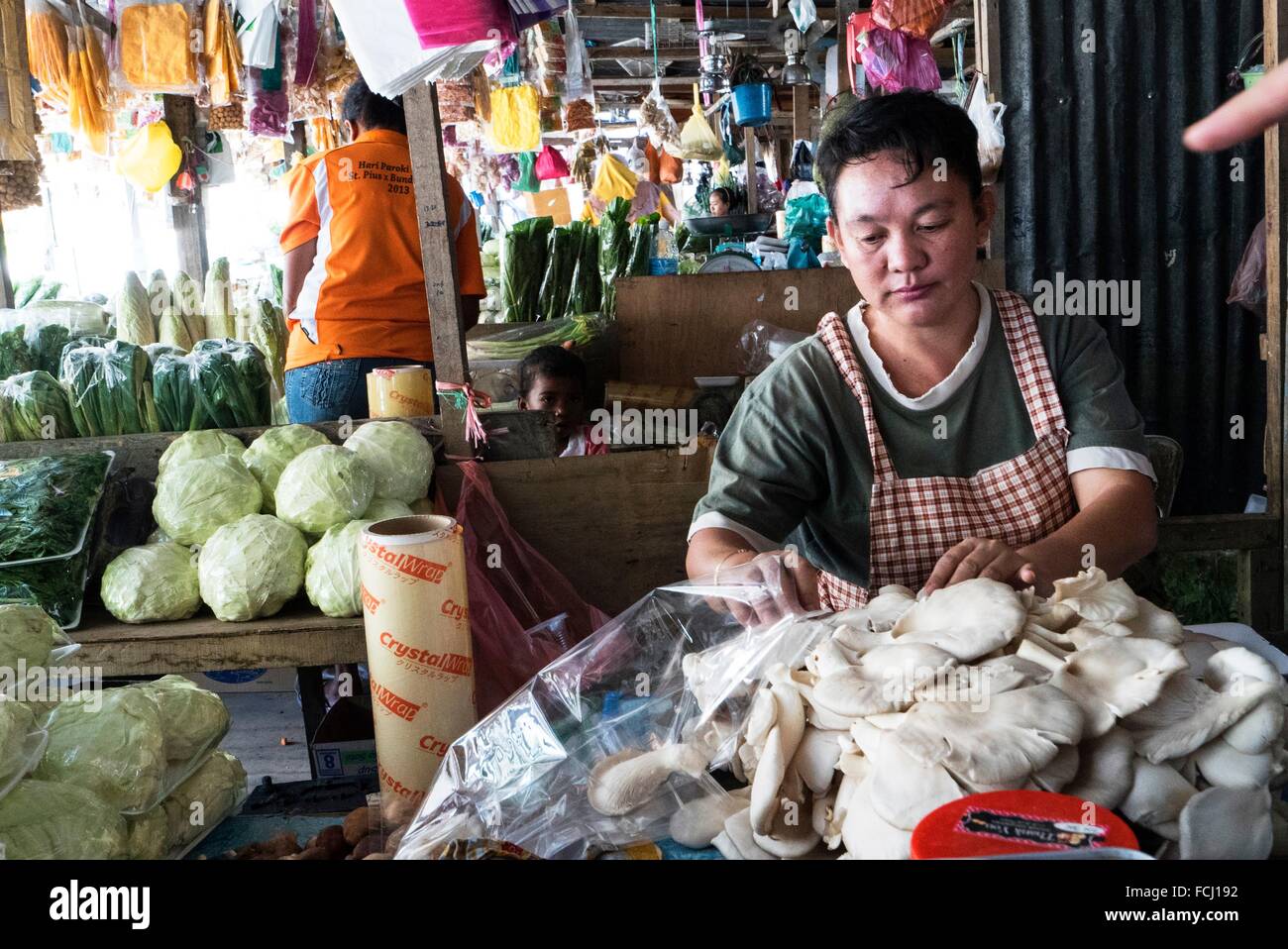 Female vendor packing mushrooms, Kundasang Highlands, Sabah, Malaysia ...